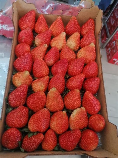 Pin De Avis Sarwan Em Strawberry Morango