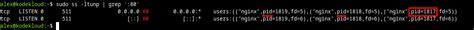 How To Terminate Or Kill A Process In Linux Complete Guide