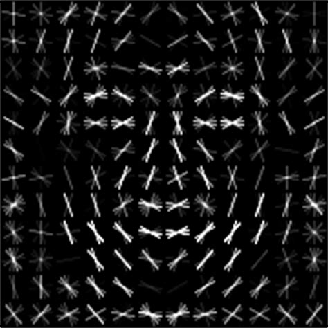Opencv Training Dlib Pedestrian Hog Detector Results In Bad Detector