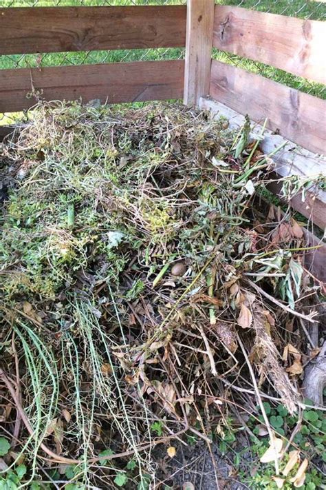 How To Test Soil In The Home Garden Gardeners Path