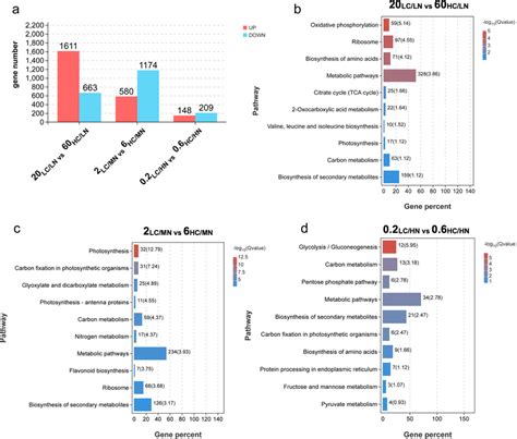 Deg Analysis And Kegg Pathway Enrichment Histogram Horizontal