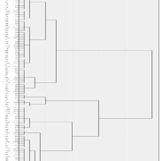 Dendrogram Of Clustering Respondents Based On Their Cognitive Knowledge