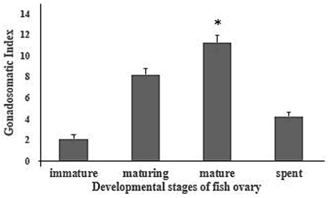 Mean Value Of Gonadosomatic Gsi Indices Through Breeding Cycle Of Download Scientific Diagram