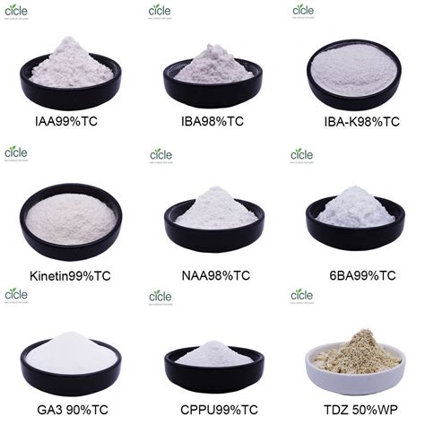 Anne Chou Pgrsamino Acids On Linkedin Plantgrowthregulator