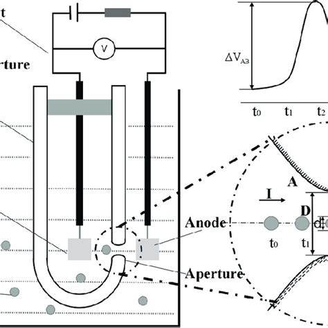 BIRCH Clustering Results A Predicted Distribution Of Particle And