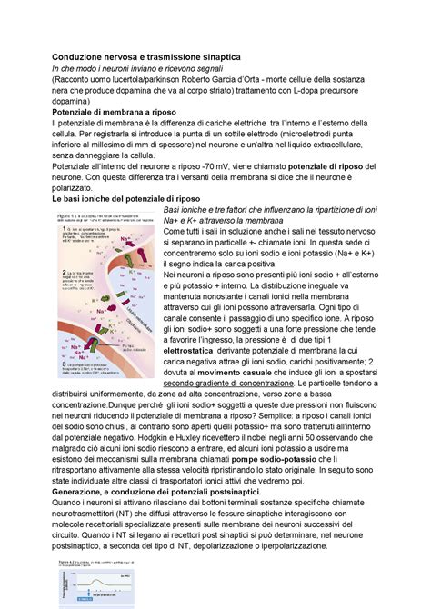 Libro Psicobiologia Pinel Riassunto Cap 4 Appunti Di Biologia Docsity