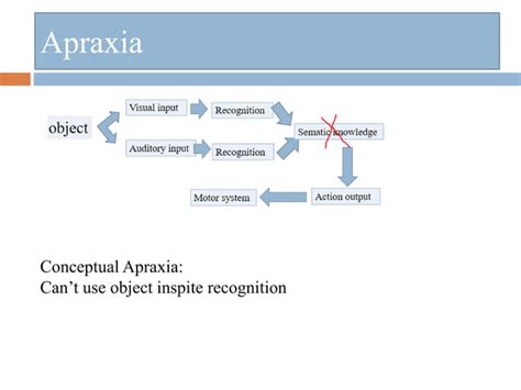 Higher Cortical Functions Final PPTX