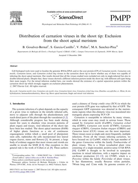 Pdf Distribution Of Carnation Viruses In The Shoot Tip Exclusion From The Shoot Apical Meristem
