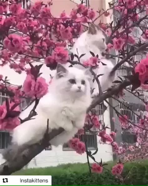 Sharath Kumar Posted On Linkedin