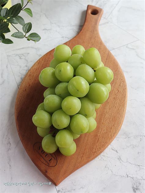 샤인머스켓 베이글오픈샌드위치~ 샤인머스켓 칼로리 보관 세척