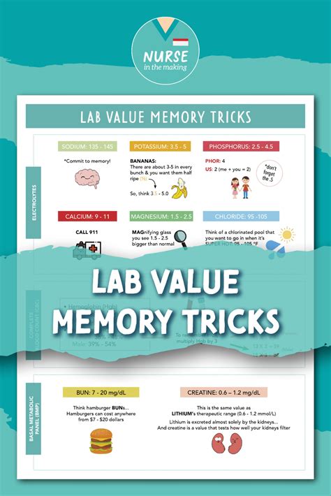 Lab Values Cheat Sheet Artofit