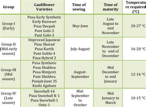 Classification Of Cauliflower On The Basis Of Maturity Download Scientific Diagram