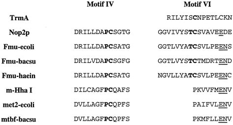 M5c Rna And M5c Dna Methyl Transferases Use Different Cysteine Residues