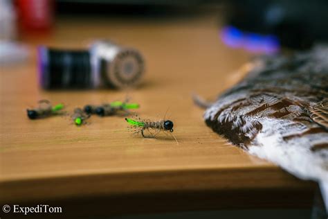 Minimalistic Fly Tying Peeping Caddis Nymph ExpediTom