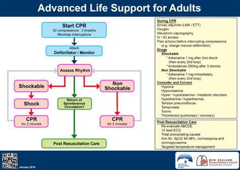 Anzcor Adult Cardiorespiratory Arrest Flowchart Jan2016 Pdf