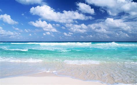 Angela Sagar MD Ocean Psychiatry LLC