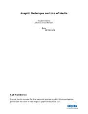 Aseptic Technique Lab REPORT Docx Aseptic Technique And Use Of Media Babe Name Johanna Cruz