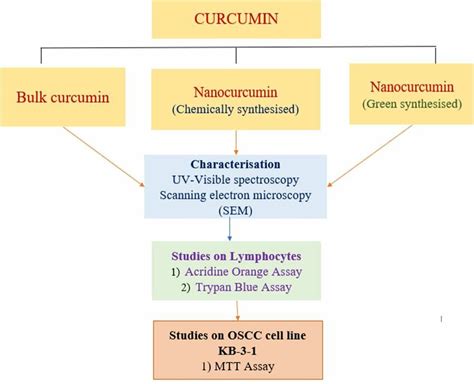 Experimental Flowchart Depicting The Procedures Of Synthesis