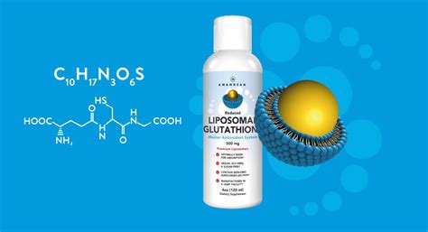 The Role Of Glutathione In Male Fertility Amandean