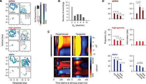 visual spatial information across fef layers a examples of