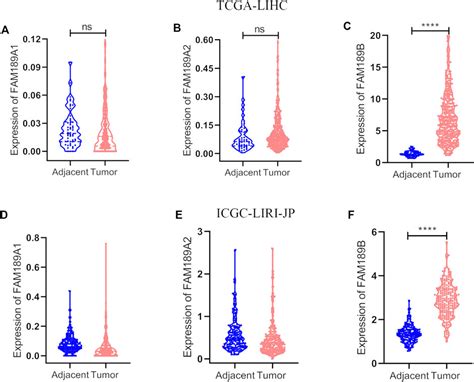 Pathology & Oncology Research | Highly expressed FAM189B predicts poor ...