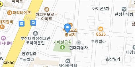 금정요양보호사교육원 카카오맵