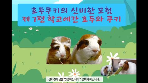 호두쿠키의 신비한 모험 제 7 편 학교에 간 호두와 쿠키 Youtube