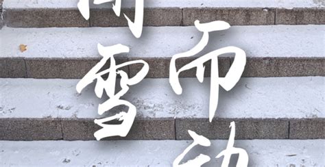 半岛聚焦丨闻雪而动！这才是青岛最美的雪景腾讯新闻