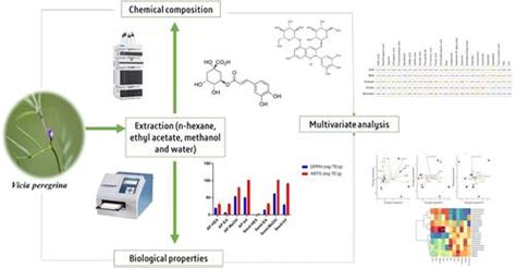 土耳其东部地区野豌豆不同提取物的 Hplc Msms 分析、抗氧化、神经保护、抗糖尿病和皮肤保护作用chemistry And Biodiversity X Mol