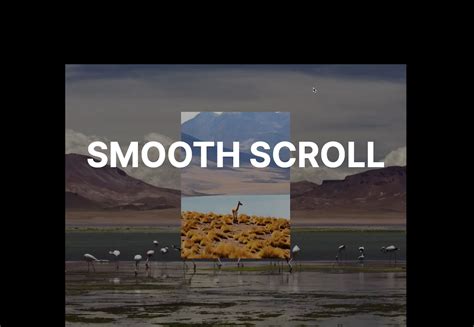 Build A Smooth Scroll Landing Page Using Nextjs Gsap Locomotive Scroll V5