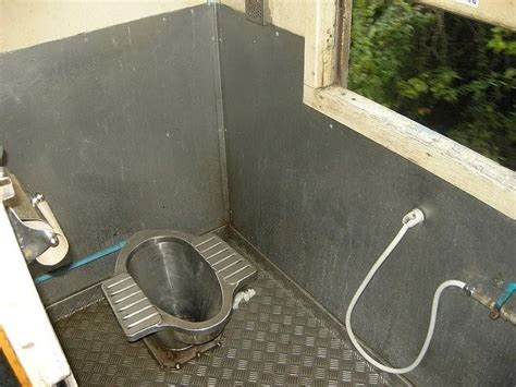 Asian Girl Pissing Toilette Telegraph