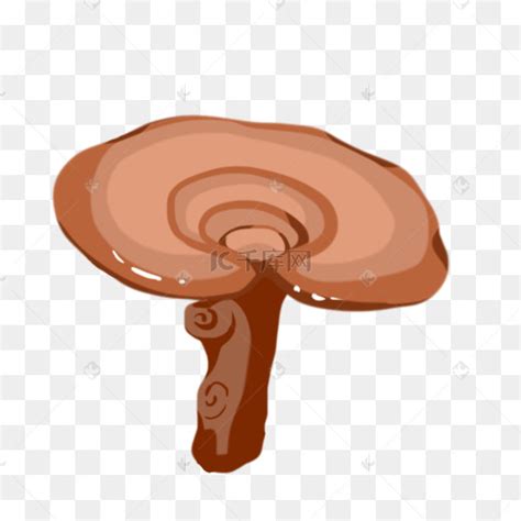 灵芝手绘图片 灵芝手绘图片素材免费下载 千库网