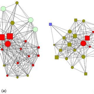 A B Women Are Depicted As Circles And Men As Squares The Size Of The Download Scientific