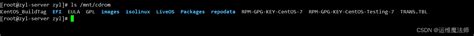linux运维：实现光盘开机自动挂载、配置本地yum源教程 linux挂载dvd光盘 csdn博客