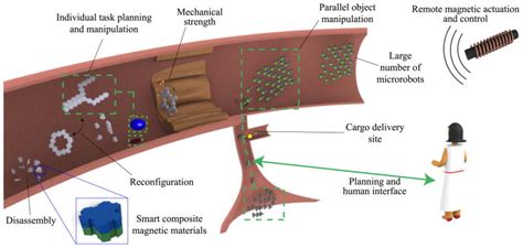 Biomedical Applications Of Untethered Mobile Millimicrorobots