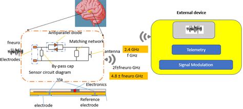 Neural Recording System Sensor Circuit Diagram With Apdp Antenna And Download Scientific