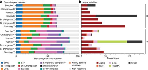 The Complete Sequence And Comparative Analysis Of Ape Sex Chromosomes Pmc