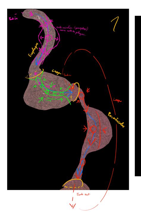 Devblog January 2024 Macro Micro Vr Service By Bleuraven