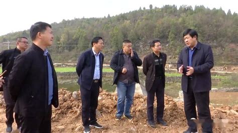 淅川盛湾至泰山段公路开工建设最新动态来了！盛湾镇