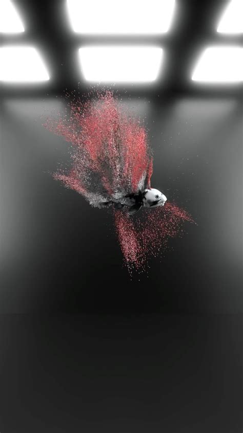 Todd Thetoddverse • Instagram Photos And Videos