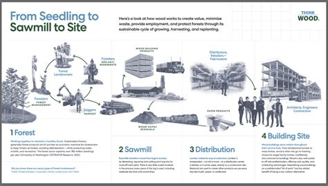 Download The Wood Value Chain Infographic
