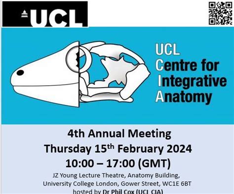 Human Bone Sex Morphology Anatomy Anthroplogy Forensics Ucl