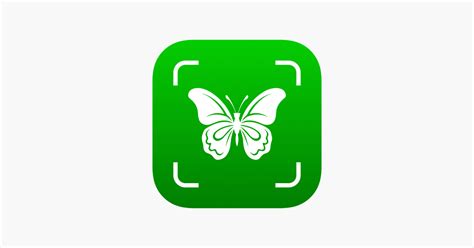 ‎bug Identifier Insect Finder On The App Store