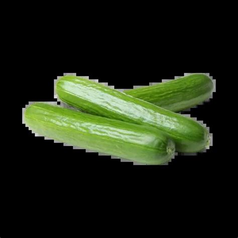 Mini Cucumber Per Lb Indian Footland Grocery Store In Brampton