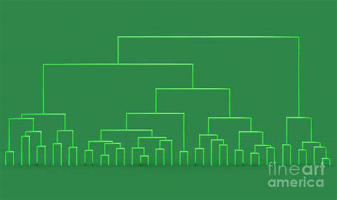Hierarchical Wall Art For Sale By Science Photo Library