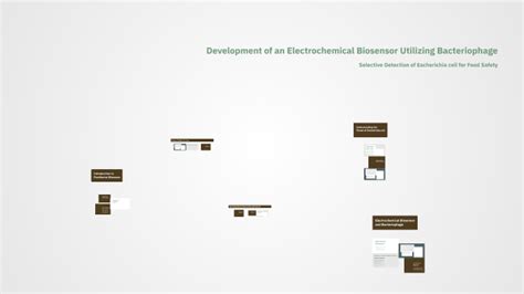 Development Of An Electrochemical Biosensor Utilizing Bacteriophage By Fatemeh Dezhgard On Prezi