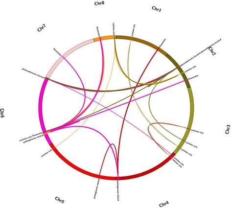 the genomic location and suggested definition of predicated anti fungal
