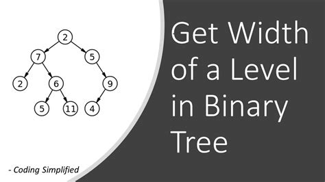 Binary Tree 38 Get Width Of A Level In Binary Tree Get Number Of Nodes Of A Level Youtube