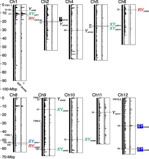 Chromosomal Distribution Of Dna Sequence Variant Trait Associations For