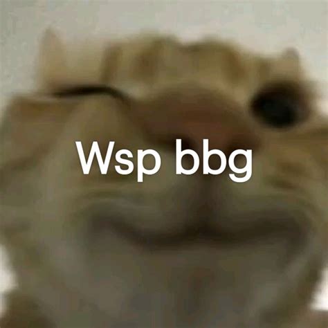 Wsp Bbg Relatable Quotes Memes Relatable
